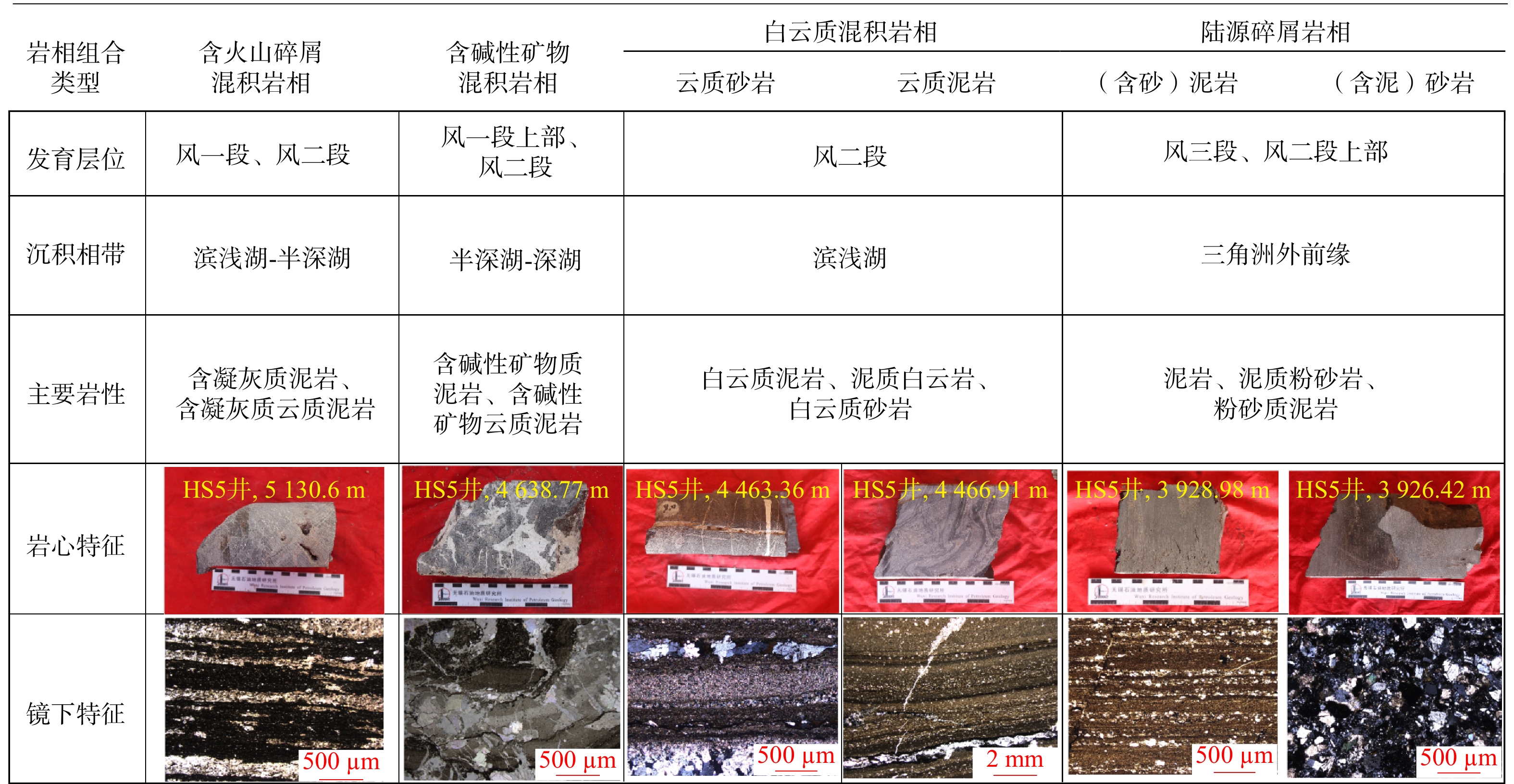 准噶尔盆地哈山地区风城组烃源岩品质差异性分析